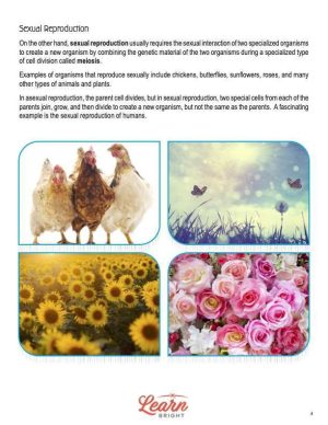 Human Reproduction, Free PDF Download - Learn Bright