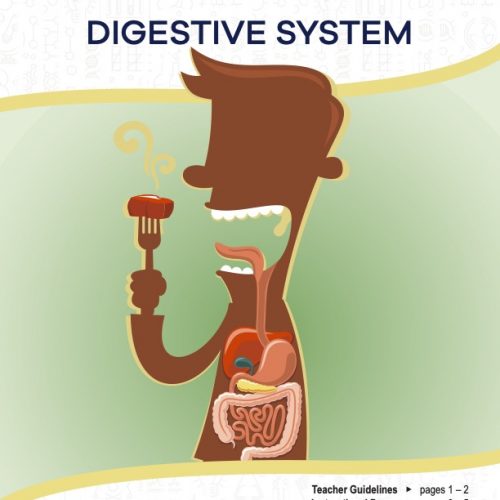 Digestive System, Free PDF Download - Learn Bright