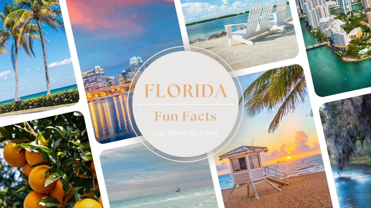 Ten Fun Facts about Florida – Learn Bright